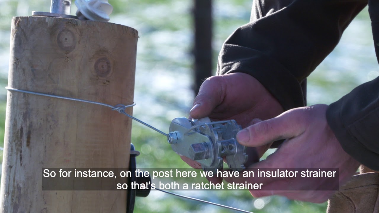 Electric Fencing for Better Grazing: 4 Wire Types - YouTube