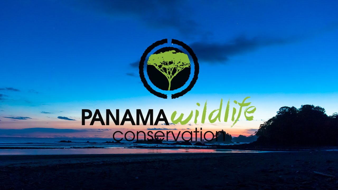 Parque Nacional Cerro Hoya Español - YouTube