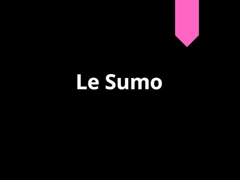 Le Sumo - YouTube