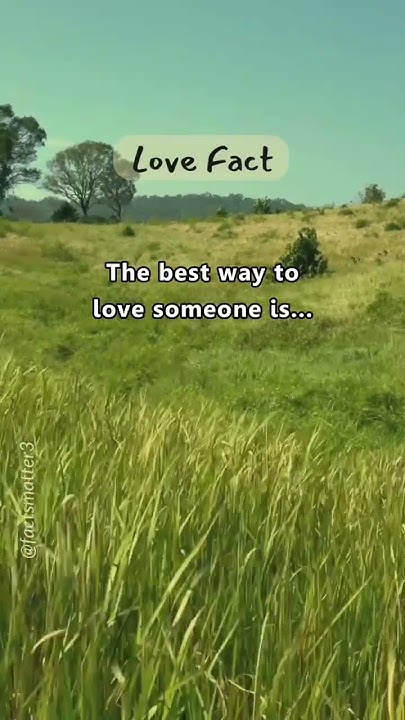 The best way to love someone...#shorts #lovefacts #psychologyfacts - YouTube