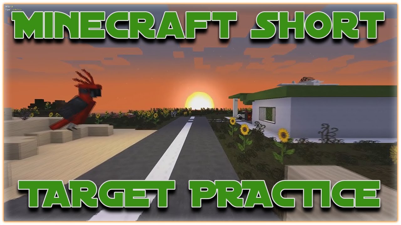 Minecraft Short - Target Practice - YouTube
