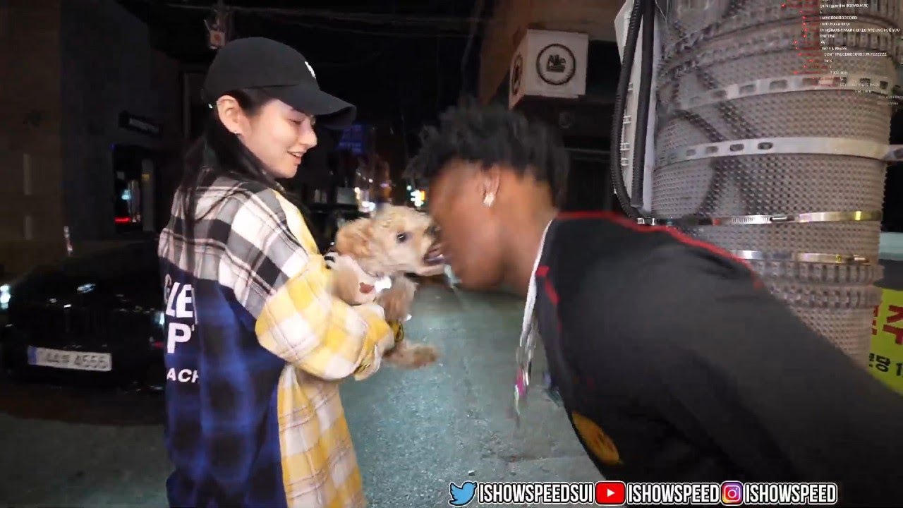 iShowSpeed Gets Bit In The Face During IRL Stream 💀 - YouTube