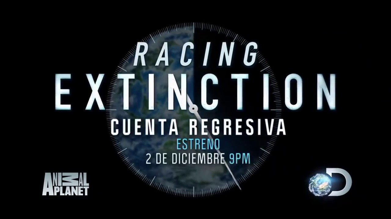 Racing Extinction (carrera a la extinción) trailer en castellano - YouTube