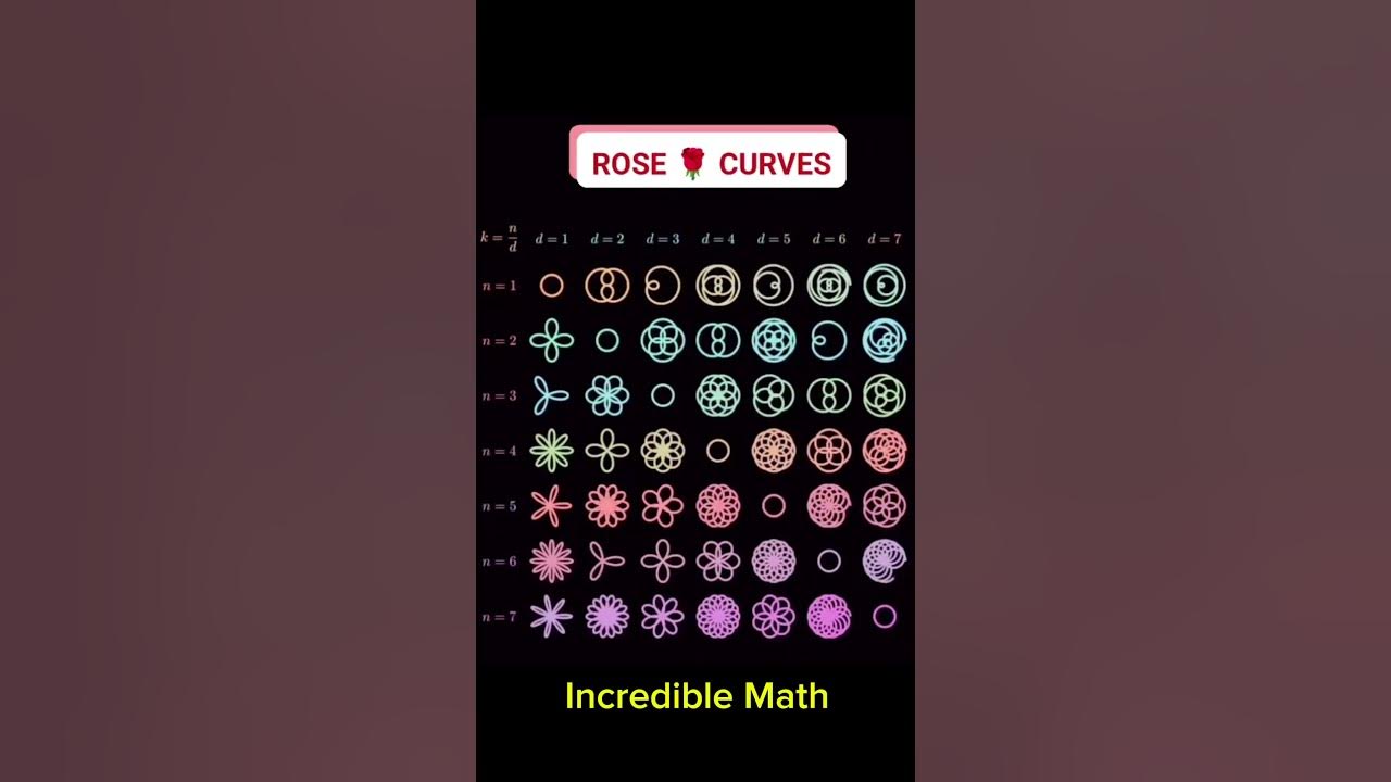 Rose Curves #maths #apprecalculus #short - YouTube