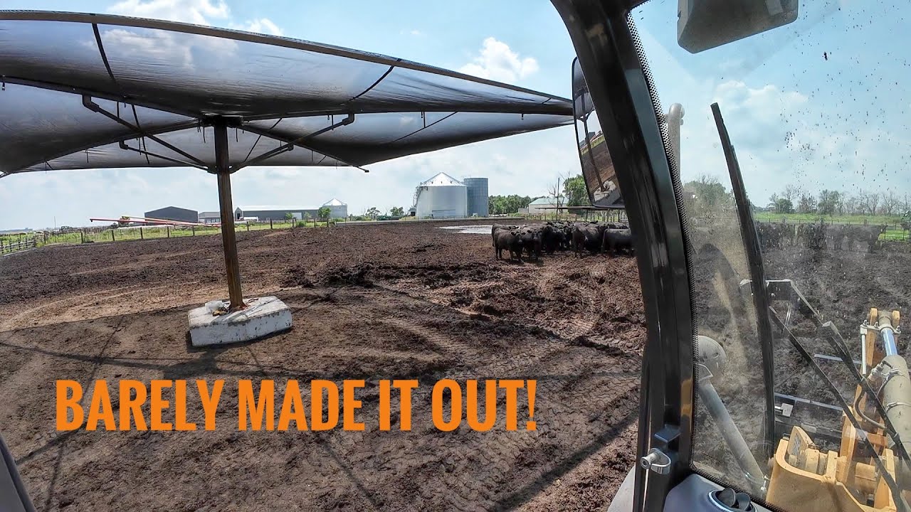 DO NOT Enter the Feedlots | Sonne Farms | The Content Farm