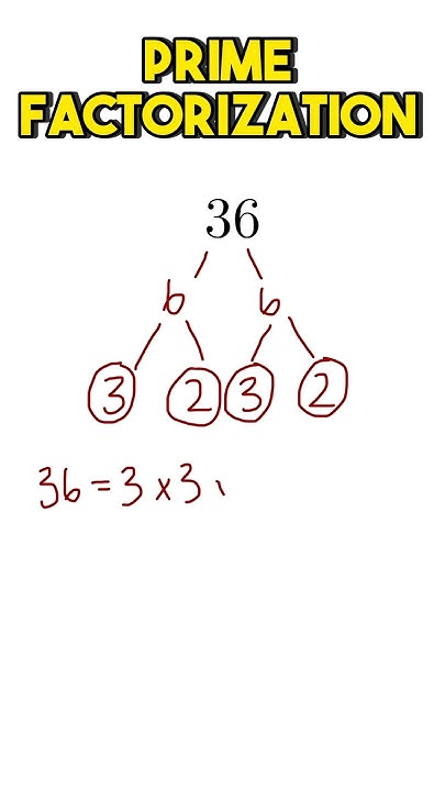 Prime factorization - YouTube