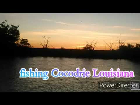 Fishing Cocodrie Louisiana - YouTube