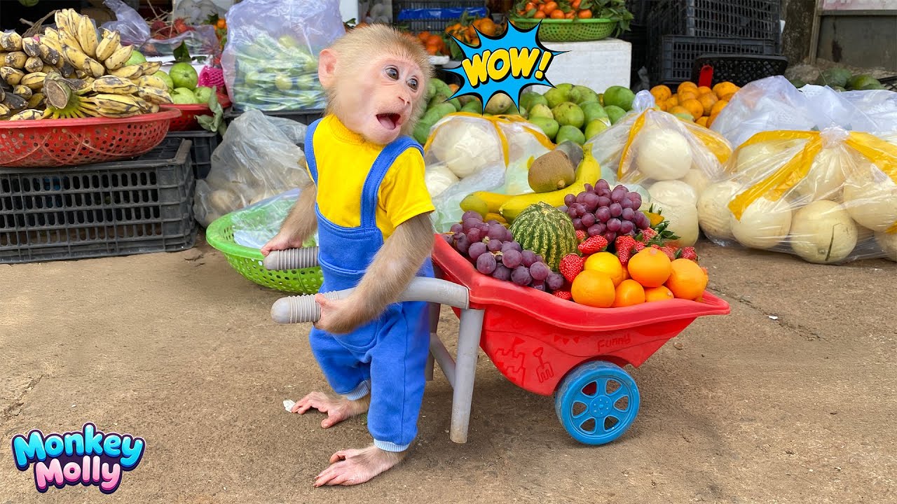 So sweet! Monkey Molly gets a special reward for helping Mom at the ...