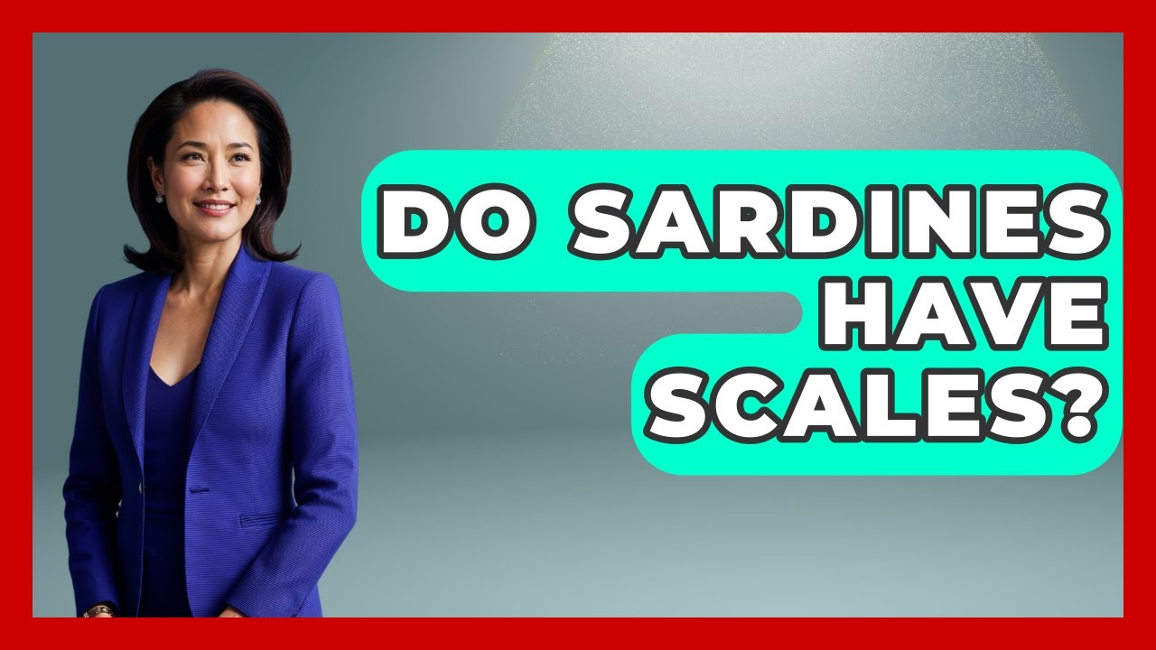 Do Sardines Have Scales? - The Marine Life Explorer - YouTube