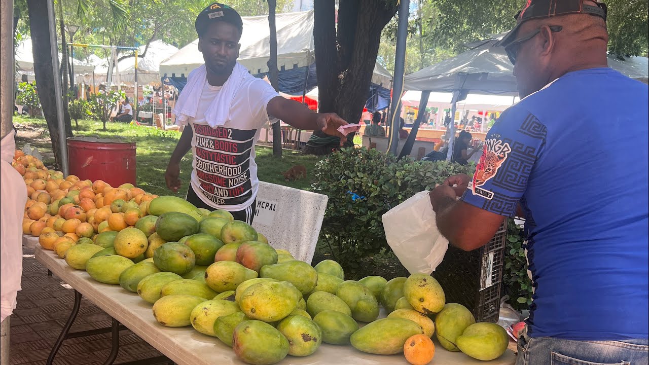 La FERIA del MANGO 2023 🥭 en Baní la Ciudad del MANGO en Republica ...