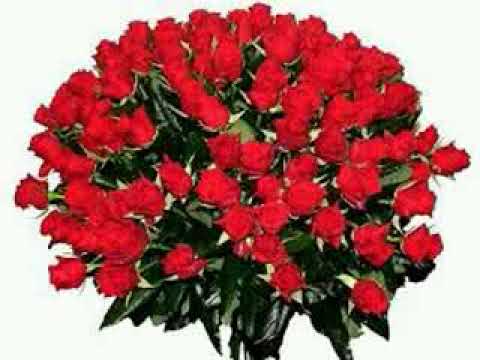 YEP YENi 2022 MAHNiLARDAN BiRi TURAL SEDALi 2022 MAHNiLAR(4)