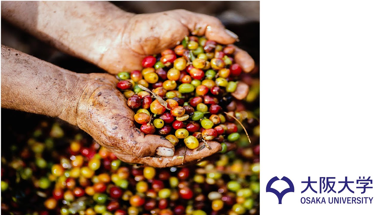 coffee exhibition 2021 - YouTube