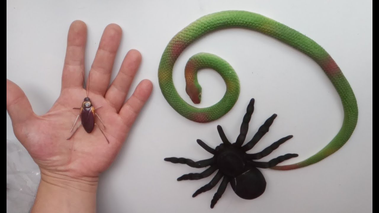 3 bromas fáciles para hacer y dar un Susto - YouTube