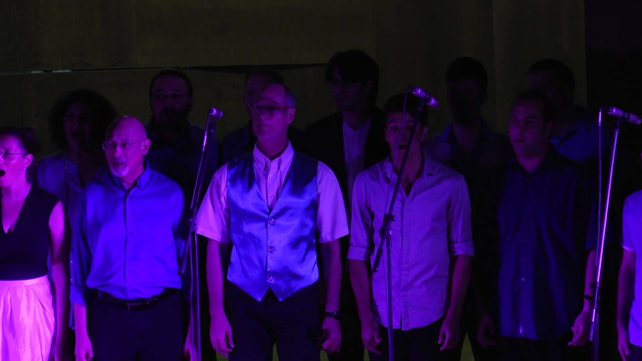 Vocalocity - Israel - YouTube