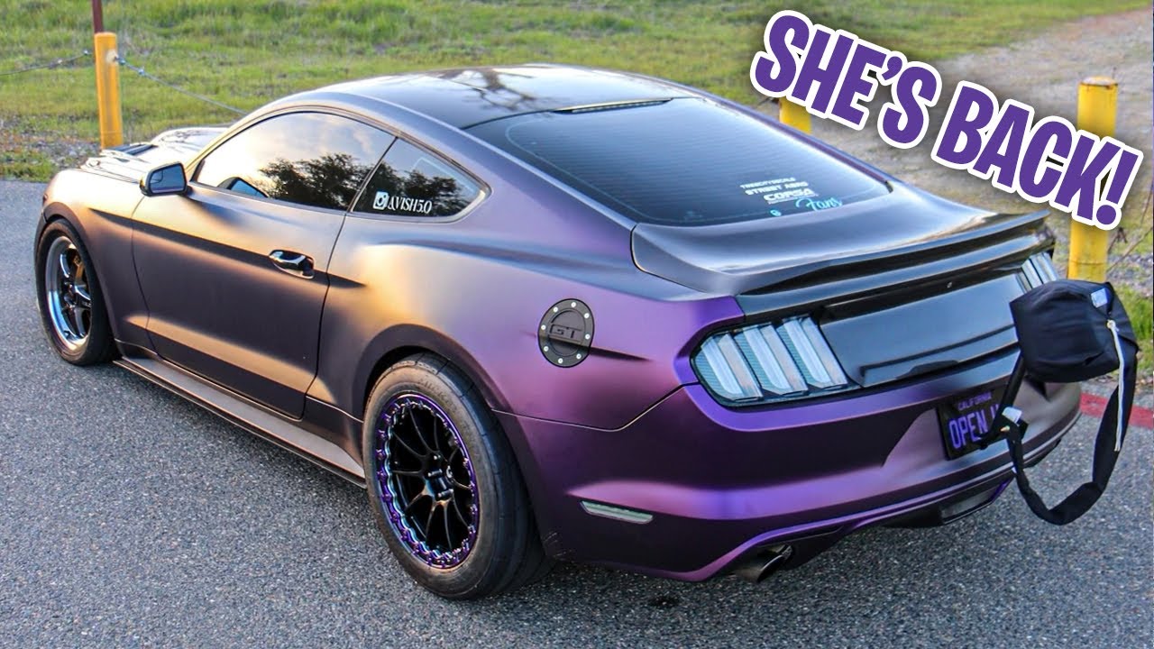Revealing my 1000HP Built Mustang! - YouTube