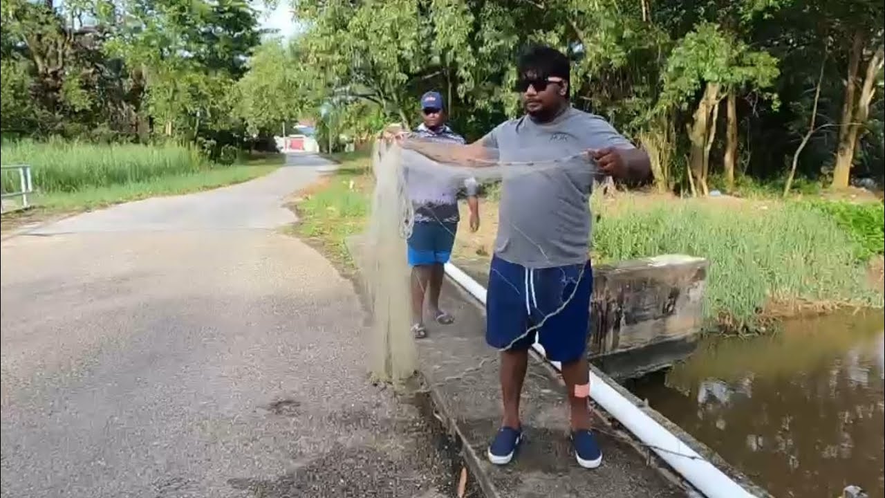 Catching live bait 🐟 - YouTube