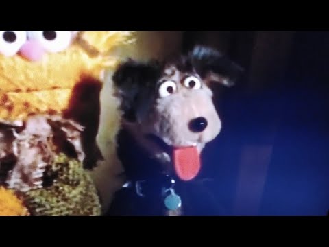 CinderElmo but only when Prince the Dog is onscreen - YouTube