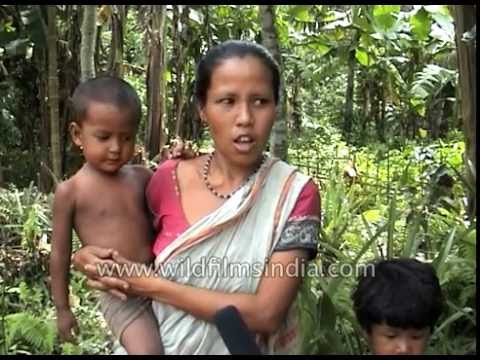 Lepers or victims of leprosy are sheltered in this Assamese village ...