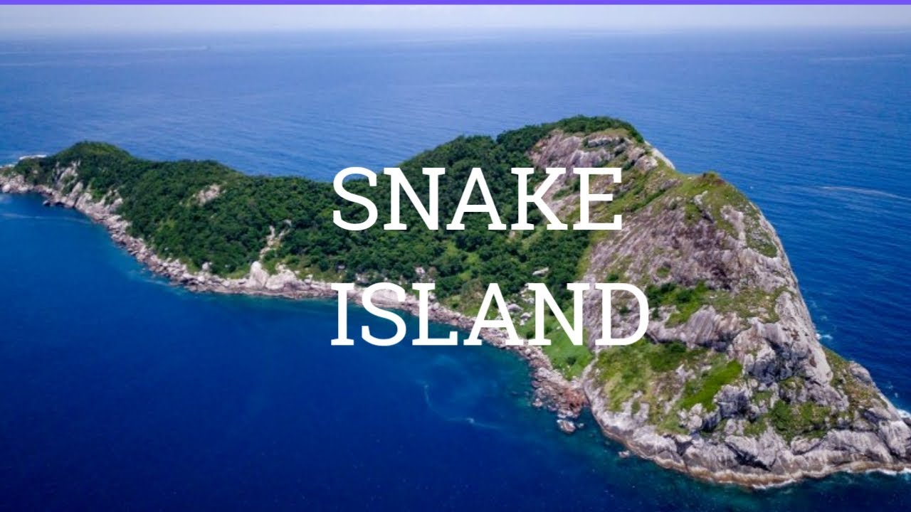 The deadliest place on earth: SNAKE ISLAND/ Ilha da queimada grande ...
