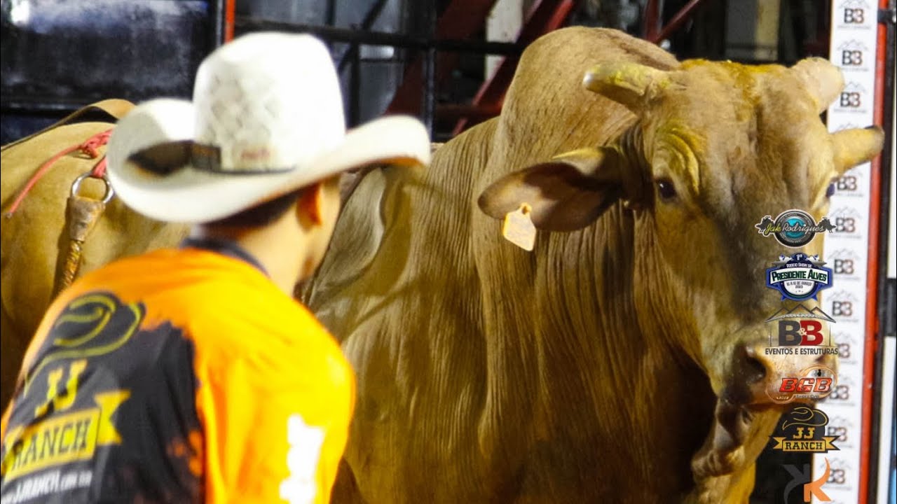 SEMI FINAL e FINAL..1° RODEIO SHOW. PRESIDENTE ALVES S.P . ACR BGB. 18 ...