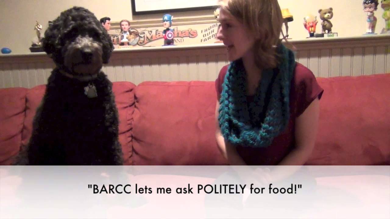 BARCC Infomercial - YouTube