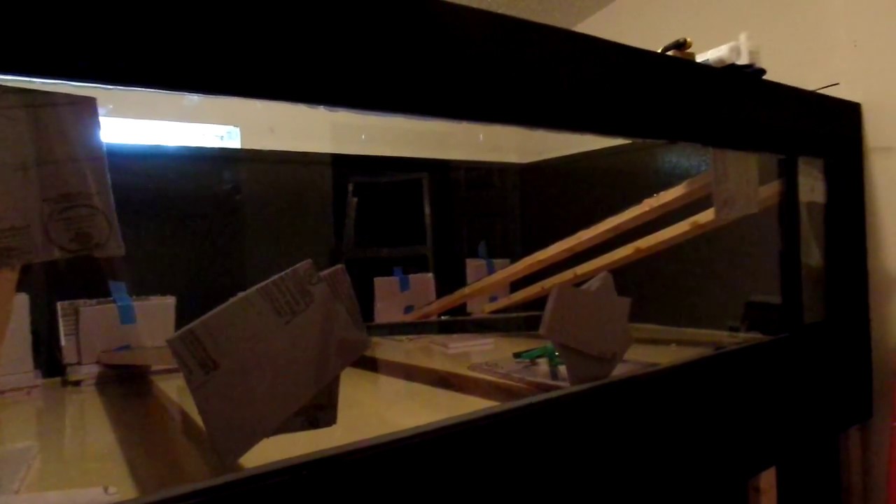 1210 Gallon DIY Plywood Aquarium System Update - YouTube