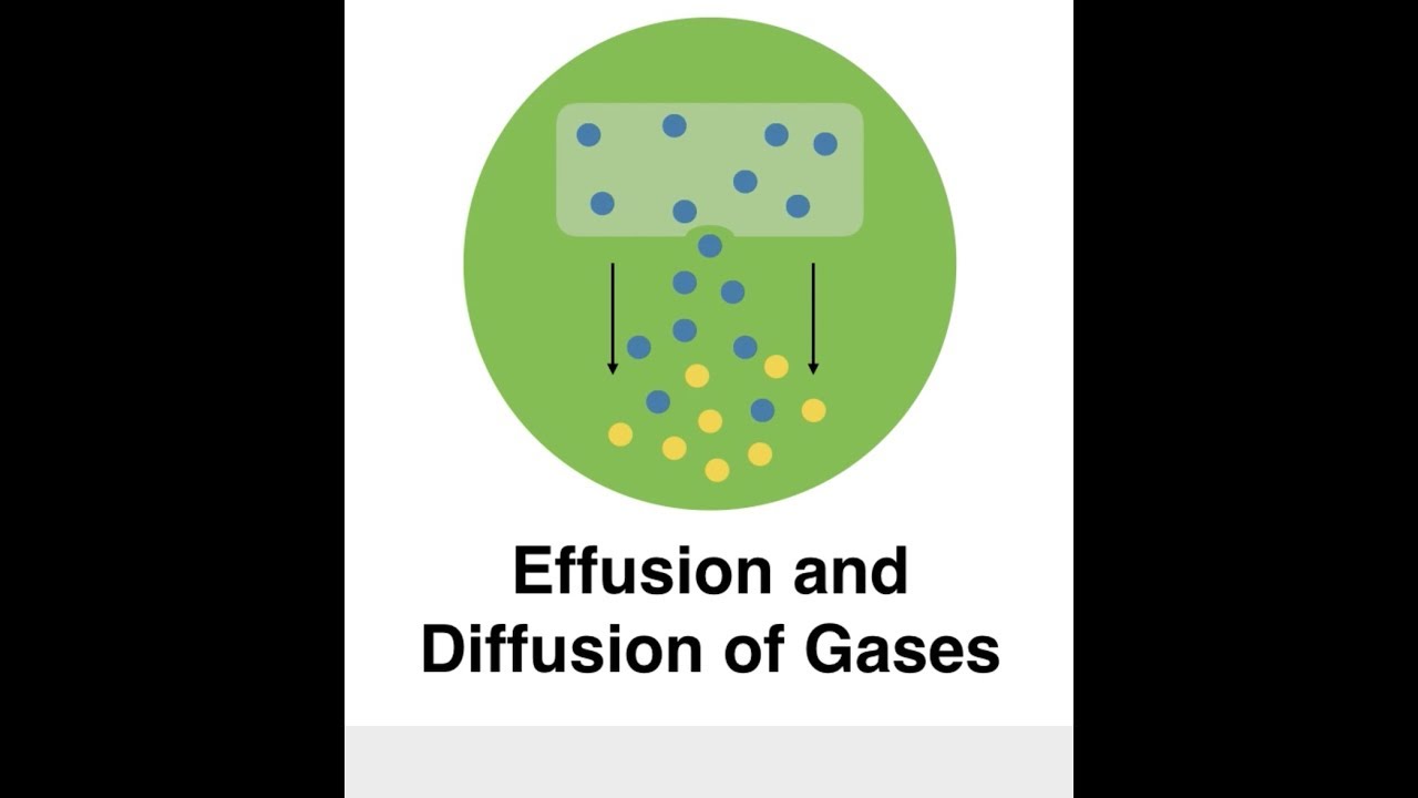 Effusion and Diffusion of Gases - YouTube