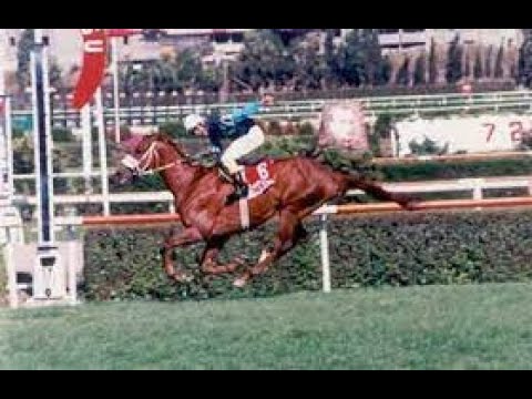 TJK 1998 Gazi Koşusu Şampiyon KAVRANHAN F. Çakar A. Kavran RÜZGARIN KIZI CHAMPS