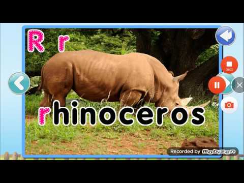 Rhinoceros Bellow Sound - YouTube