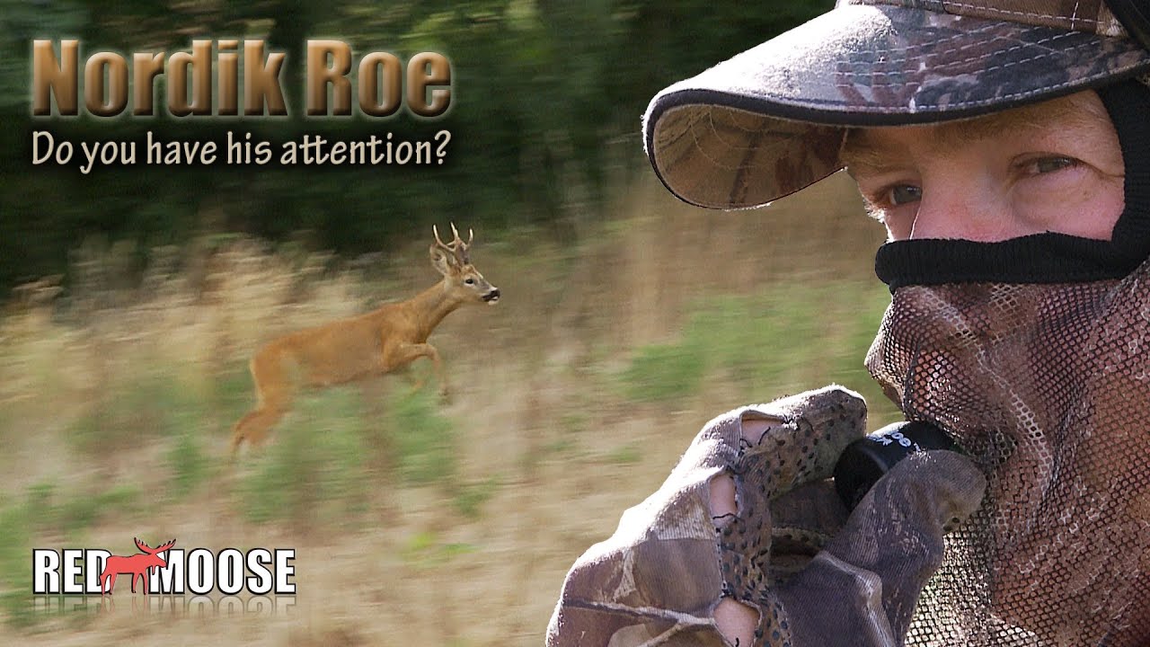 LOCKA BOCK MED NORDIK ROE - Lär dig locka in bocken med Nordik Roe ...