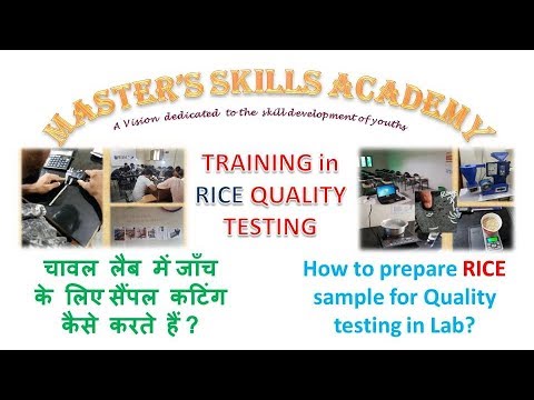 चावल लैब में सैंपल कटिंग कैसे करते हैं? How to Take Rice Sample for ...