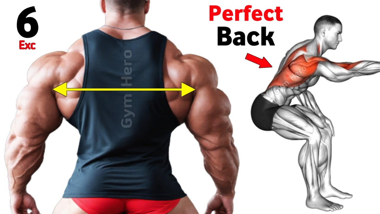 6 Perfect Back Workout For Muscle Growth - YouTube