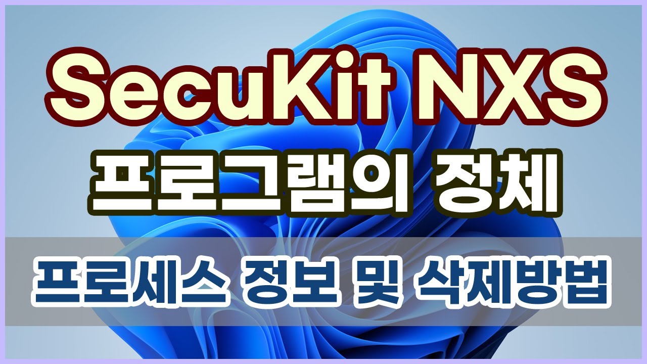 SecuKit NXS 프로그램의 정체 및 삭제 방법, 프로세스 정보 안내 - YouTube