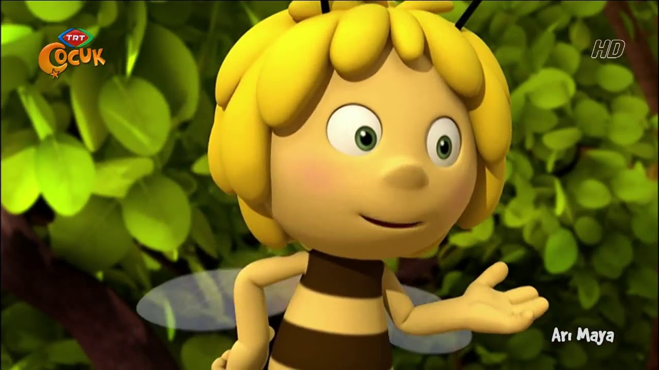 ARI MAYA Dikkat Ayı Var - YouTube