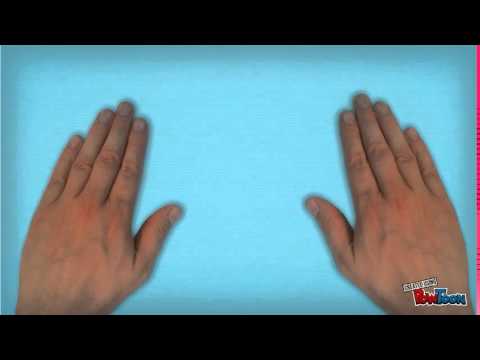 VCE PE Unit 1 AOS 1 - YouTube