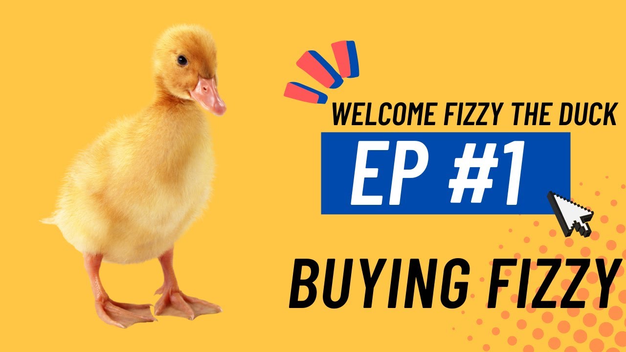 FIZZY THE DUCK IS FINALLY HOME - VLOG #1 - YouTube