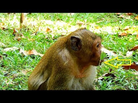 More Crying Sweat Pea Call For Everyone Coz Everyone Go Far Away From ...