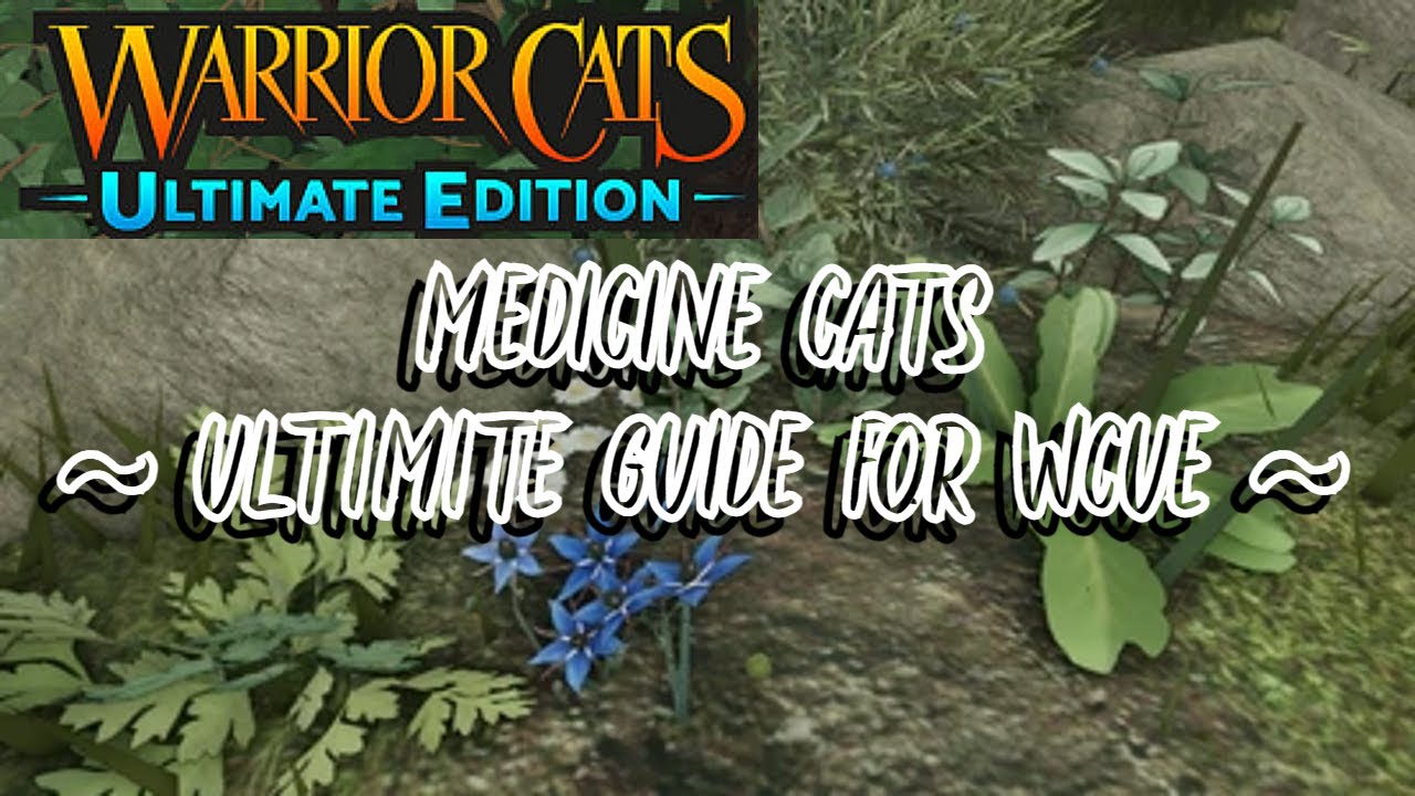 How To Be A Med Cat In Wcue Ultimate Guide Youtube