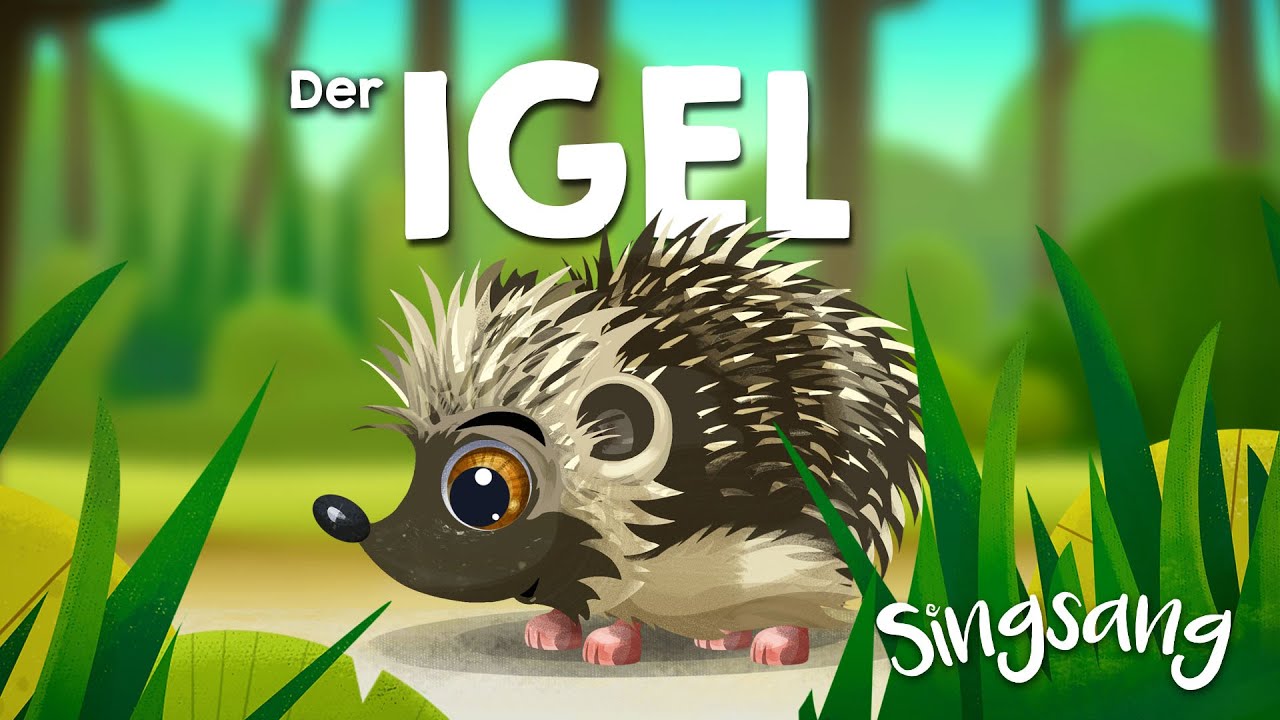 Der Igel – Singsang – Lieder für Kinder 🎺 - YouTube