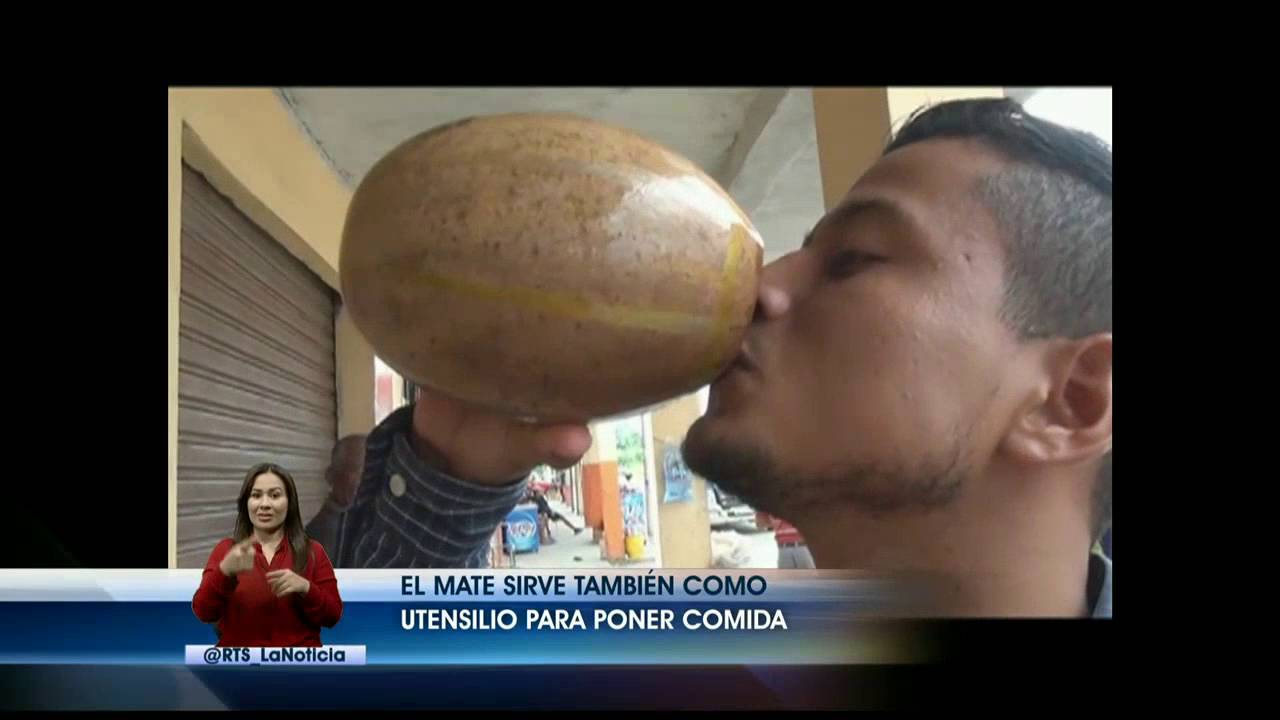 El Mate: Fruto usado en la costa ecuatoriana - YouTube