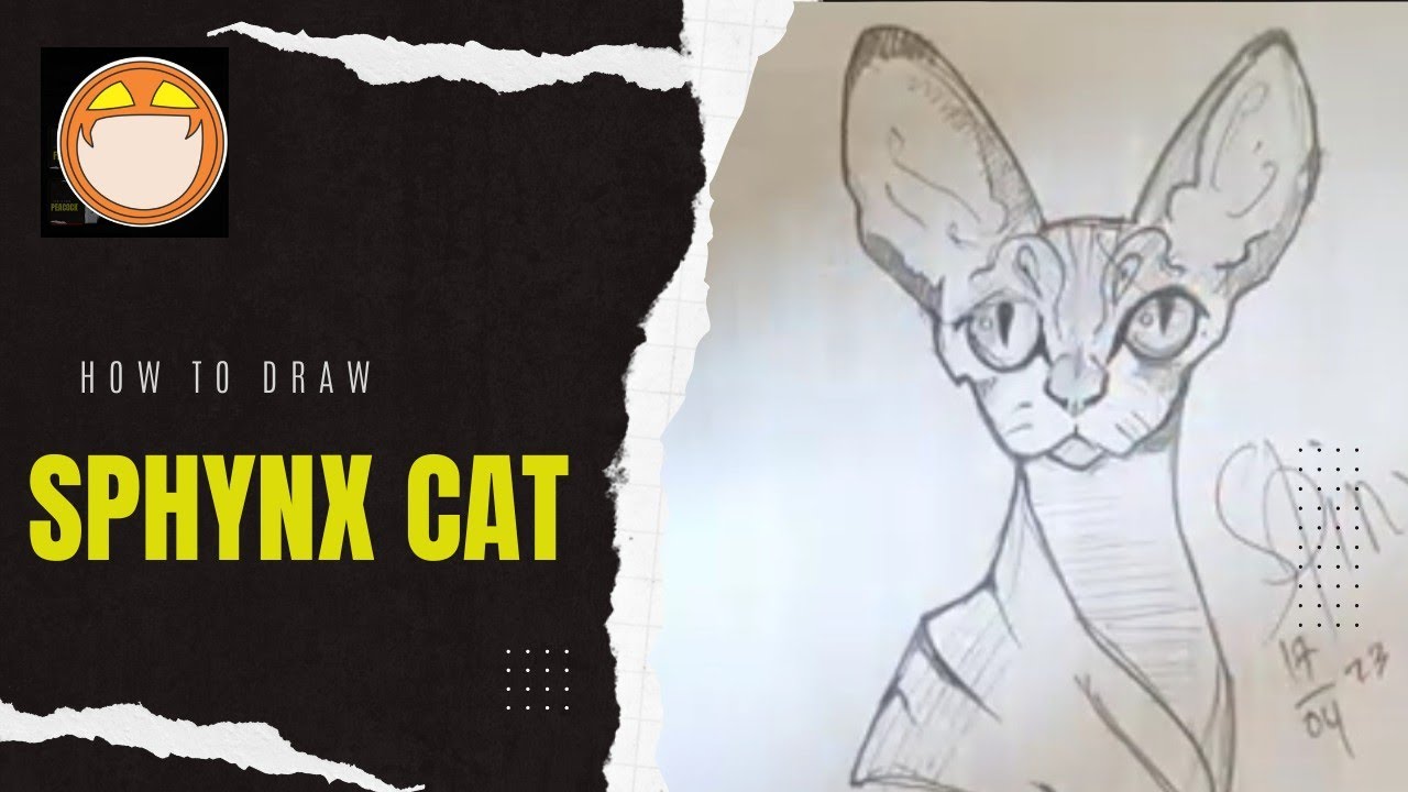 gambar kucing sphynx yang estetik - YouTube