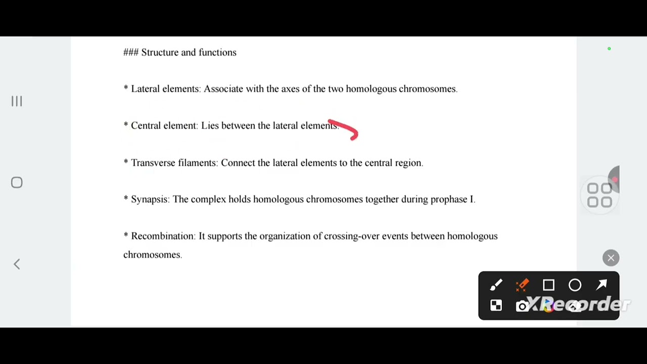 6d Synaptonemal Complex Structure aur Meiosis mein Role - YouTube