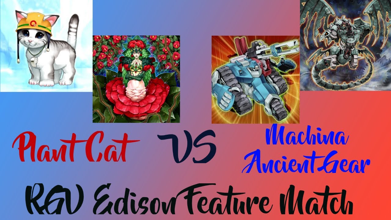 RGV Edison Format: Angel (Plant Cat) vs Zael (Machina Ancient Gear ...