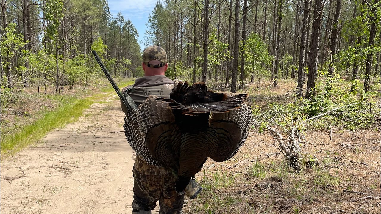 BaseCamp in South Arkansas Turkey hunting!! #turkeycalling #longbeard ...