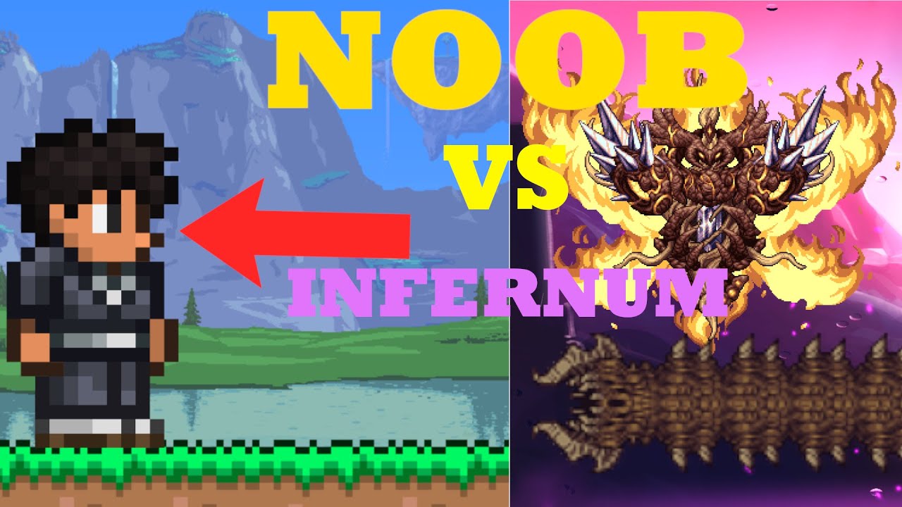 Terraria NOOB vs INFERNUM LIVE - YouTube