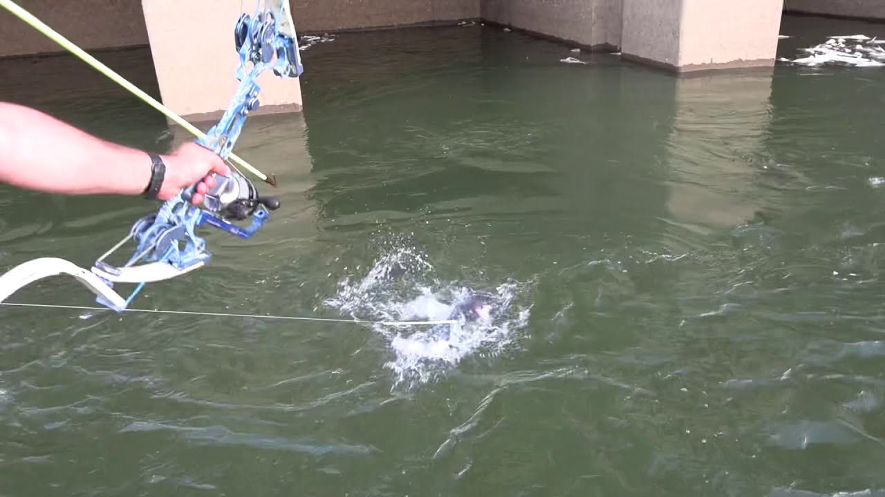 Kentucky Dam Bow Fishing 2020 - YouTube