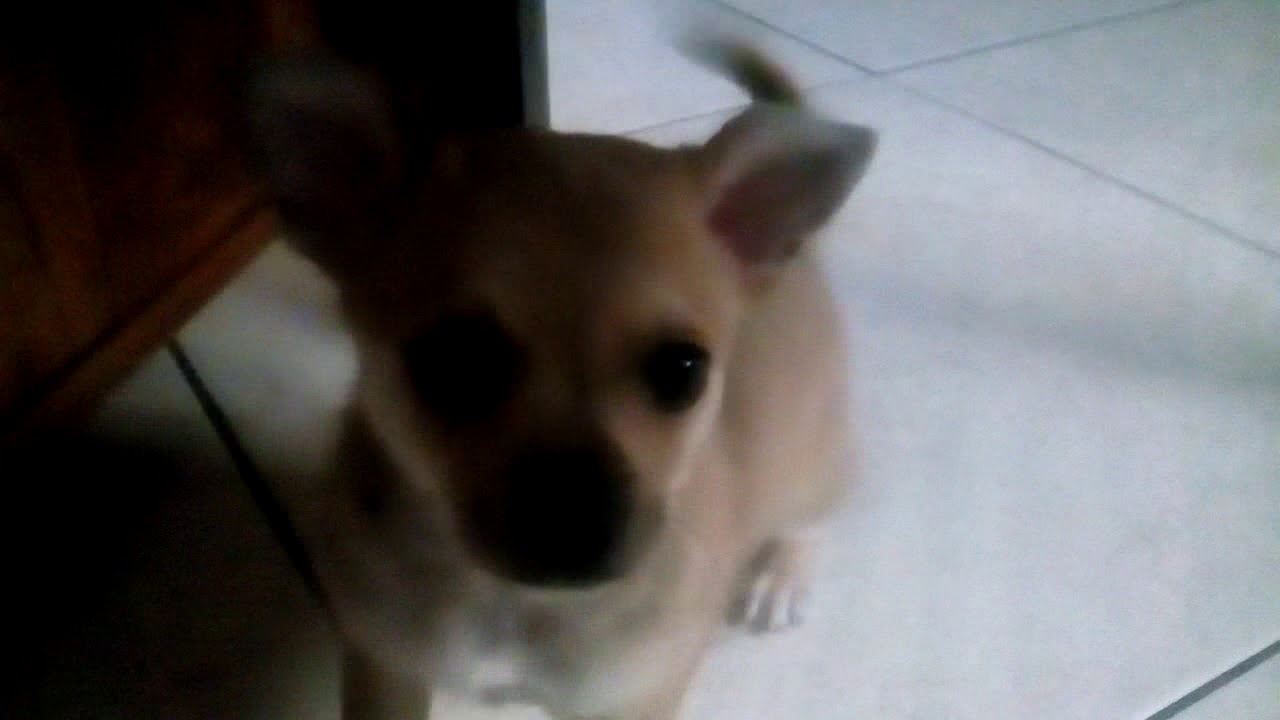 LPs package LPs #716 - YouTube