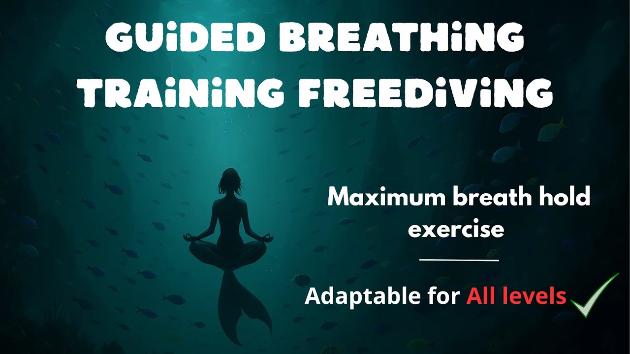 Progressive Breath-Hold Training | Guided Apnea Session to Improve Lung ...