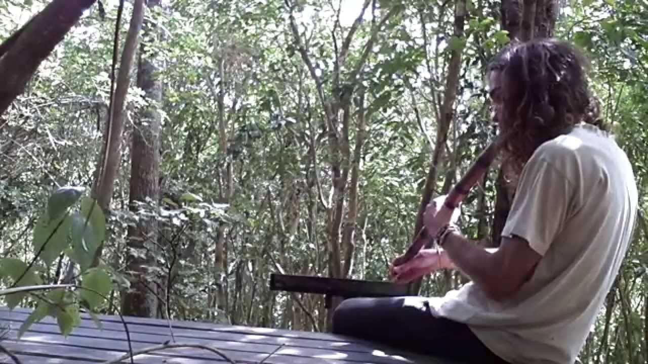 Rob Thorne plays Pūtōrino on Tiritiri Matangi Island - YouTube