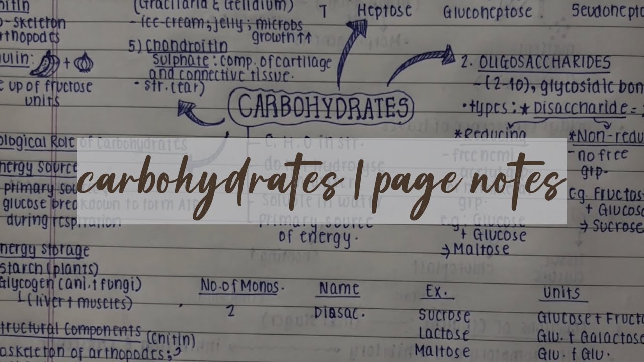 🧁complete carbohydrates in one sheet📄💭, quick revision, gic up lt grade ...